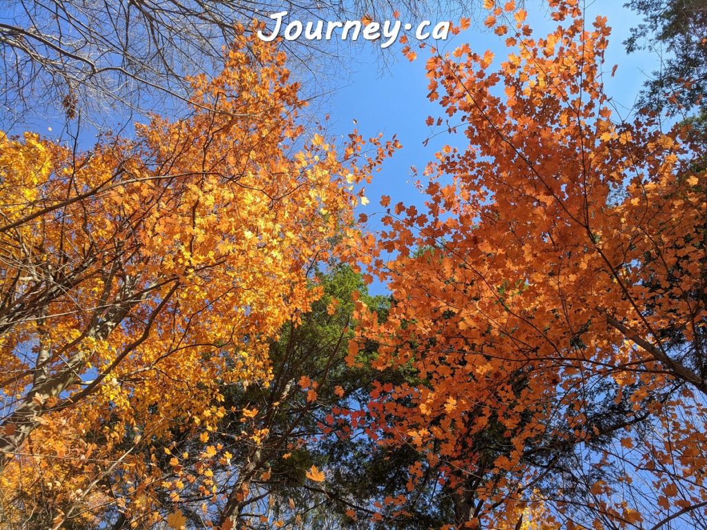 Betty Sutherland Trail, Toronto, Canada – Journey.ca 白菜价环球旅行