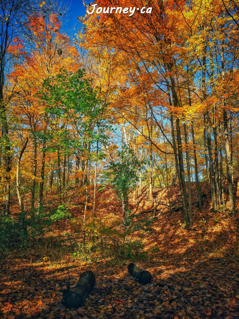 Betty Sutherland Trail, Toronto, Canada – Journey.ca 白菜价环球旅行